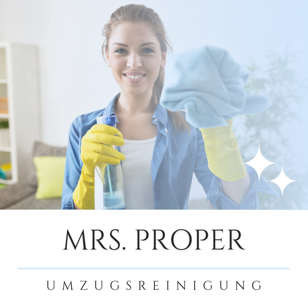 Totalsanierung Premium Elite Preise | Mrs Proper #1 CHF